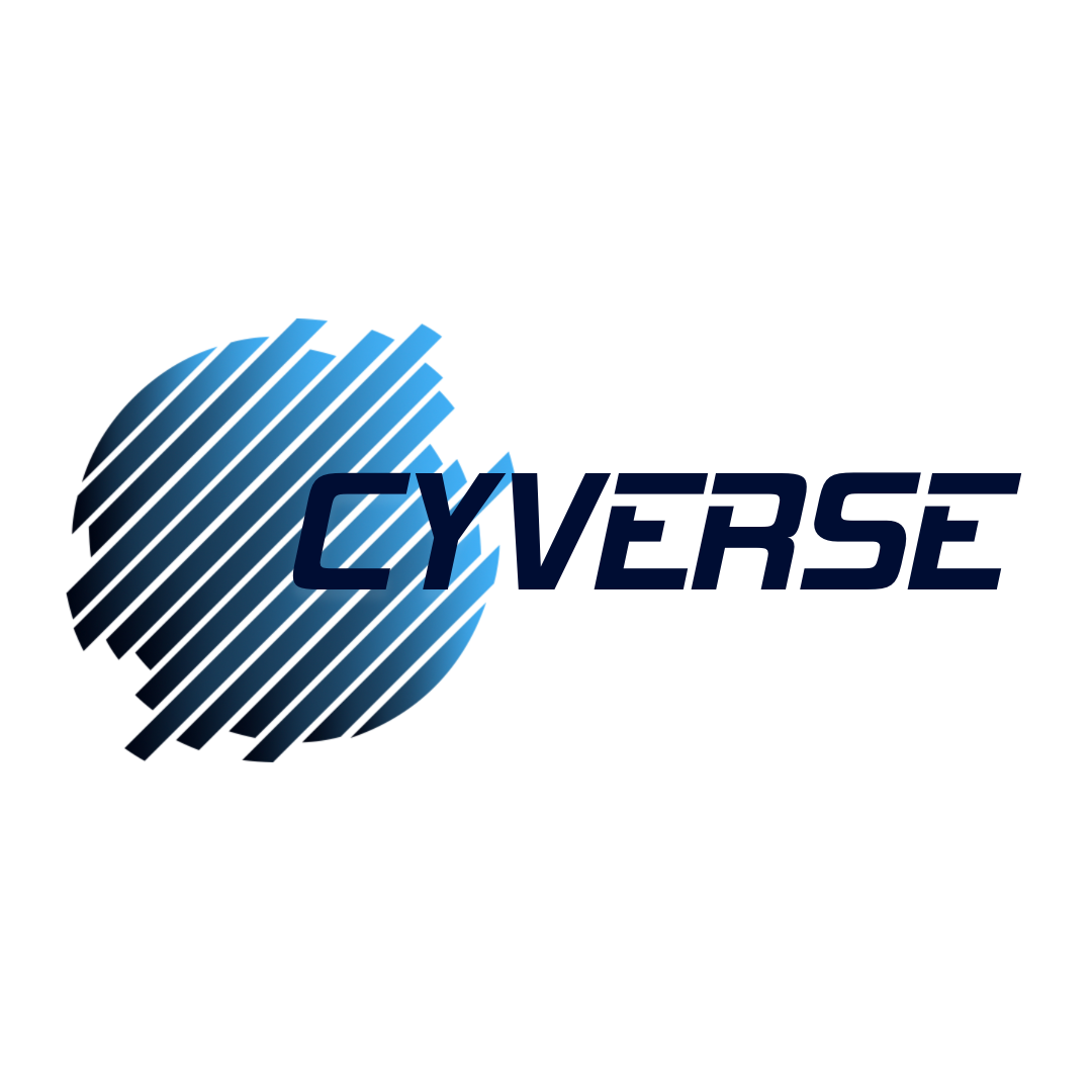 CYVERSE CONSULTING